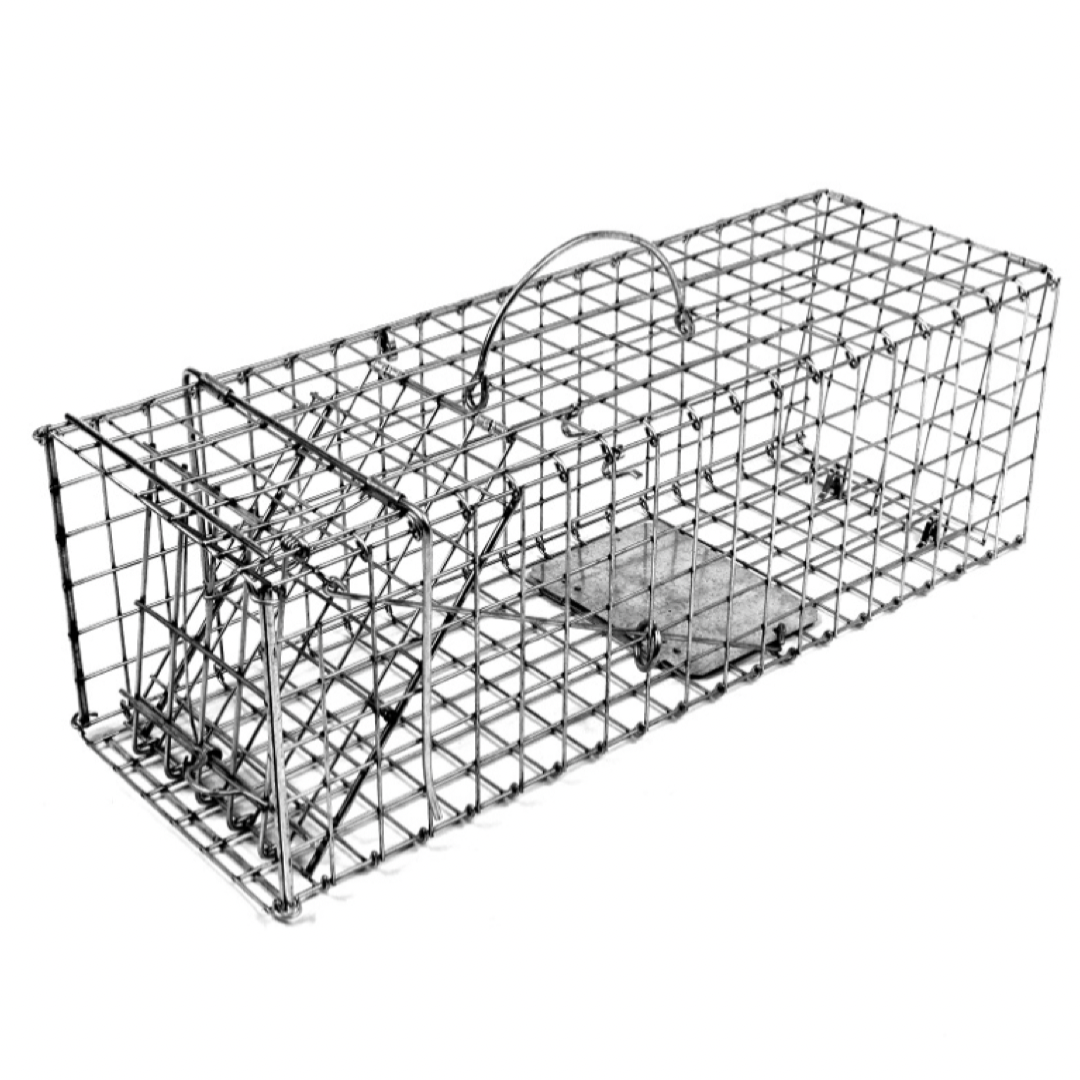 Tomahawk Model 202 - Collapsible Squirrel Live Cage Trap – TrapShed ...