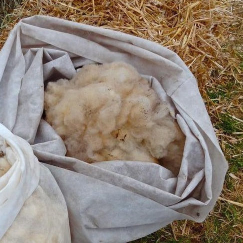 Sheep's Wool – TrapShed Supply Co.